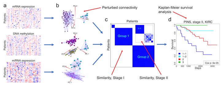 Disease Subtyping | Bioinformatics Lab